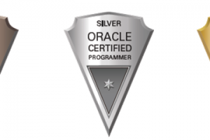 Oracle Certified Java Programmer, Silver SE 7（OCJ-P Silver SE 7） 合格までの道のり② | Rev-Env